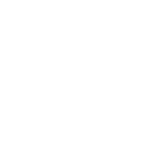 Home - The Skills Initiative